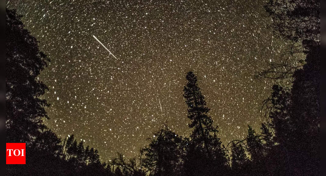 Perseids Meteor Shower 2025: When, where, and how to watch the show ...