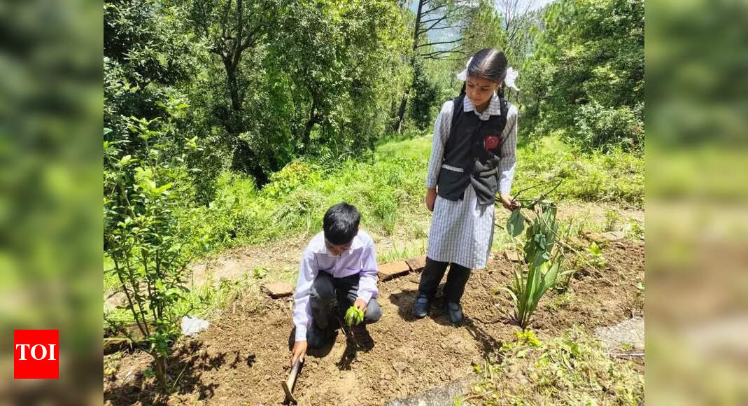 Kumaon hills gear up for Harela festival with traditional fervour and ecological commitment ...