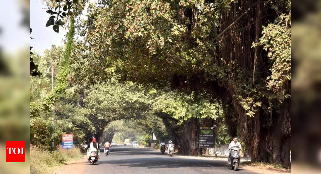 Six agencies in race to bag NMC’s tree census project | Nashik News ...