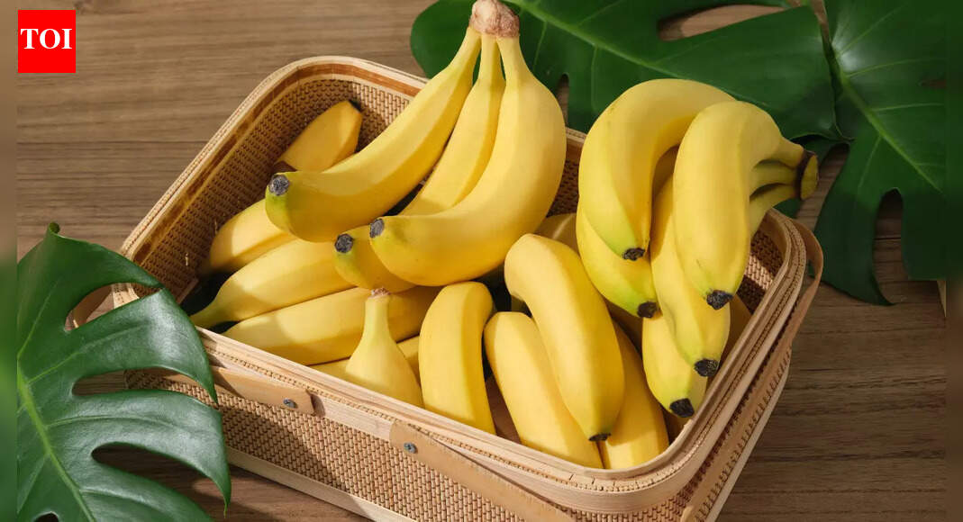 From Lady Finger to Red: 9 unique varieties of bananas from across the ...