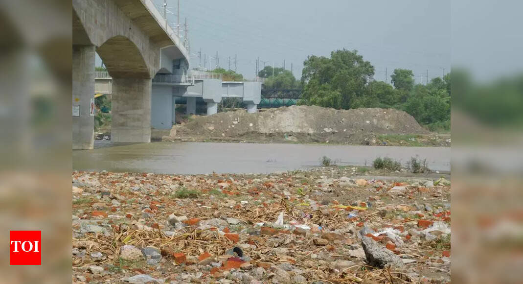 Study finds construction activities, encroachment on Yamuna floodplain ...