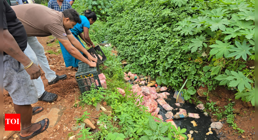 Spoiled chicken disposal heeded rules: FDA on Arpora ire | Goa News ...