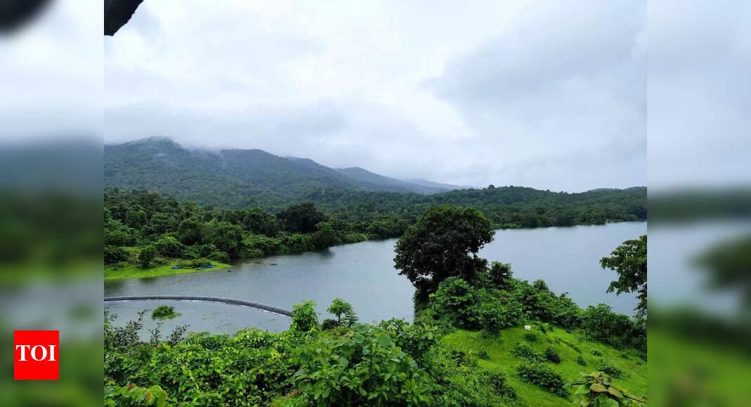 Chapoli dam brims over as Canacona gets 40mm rainfall | Goa News ...