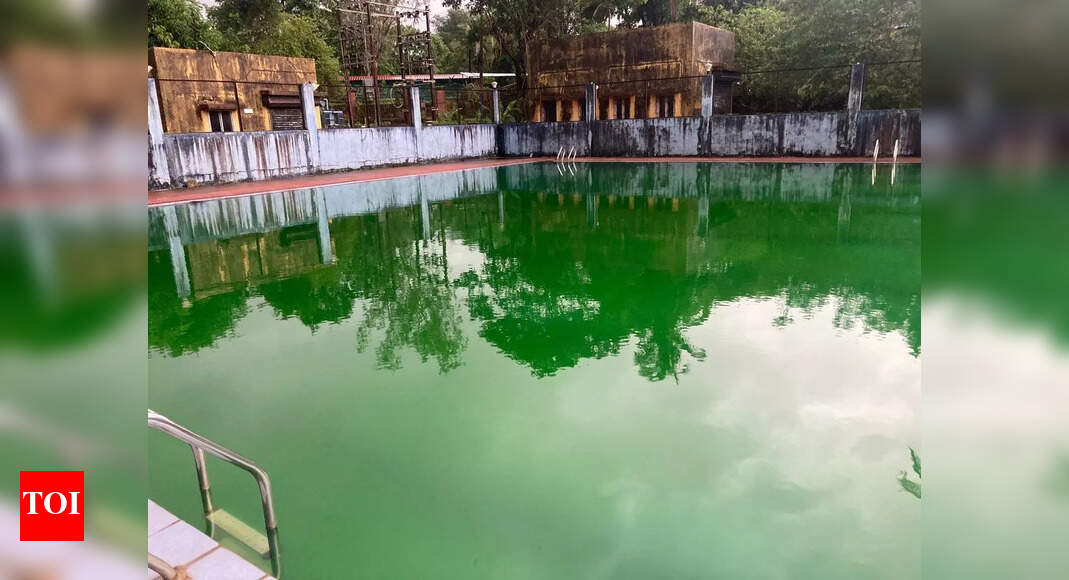 Govt swimming pool at Quepem turns into a ‘green pond’ | Goa News ...