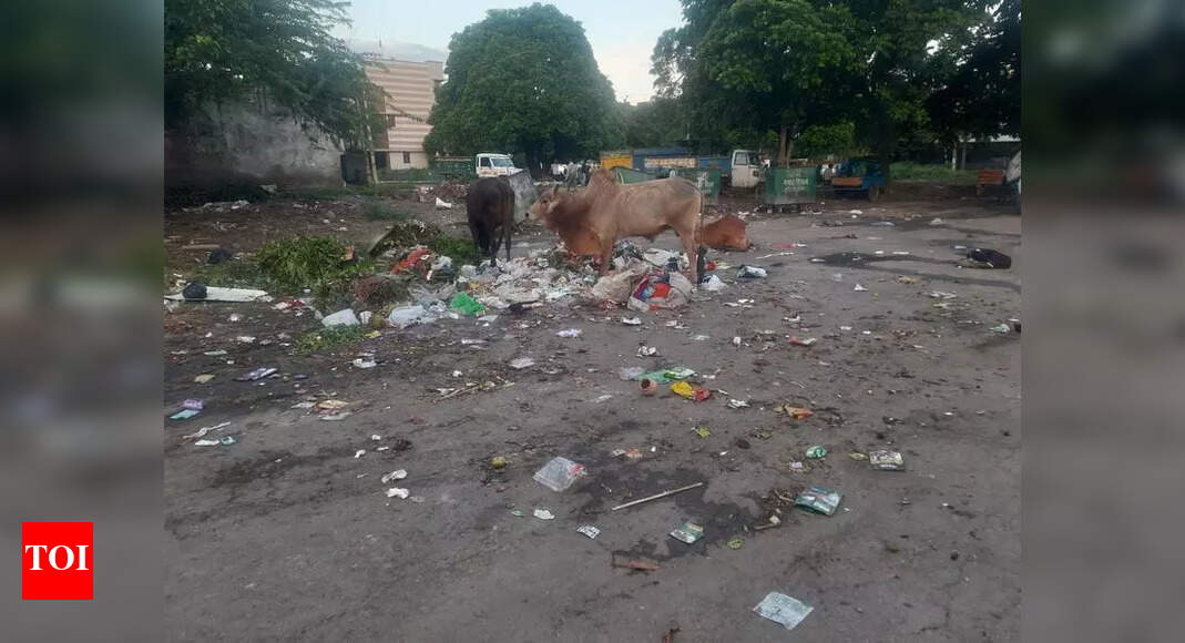 Ground reality contradicts Swachh Survekshan rankings in Panchkula ...