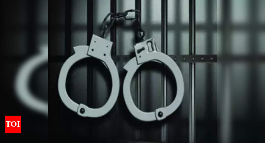 Thane: 5 history-sheeters held for brutal assault on Bhandup hotelier ...