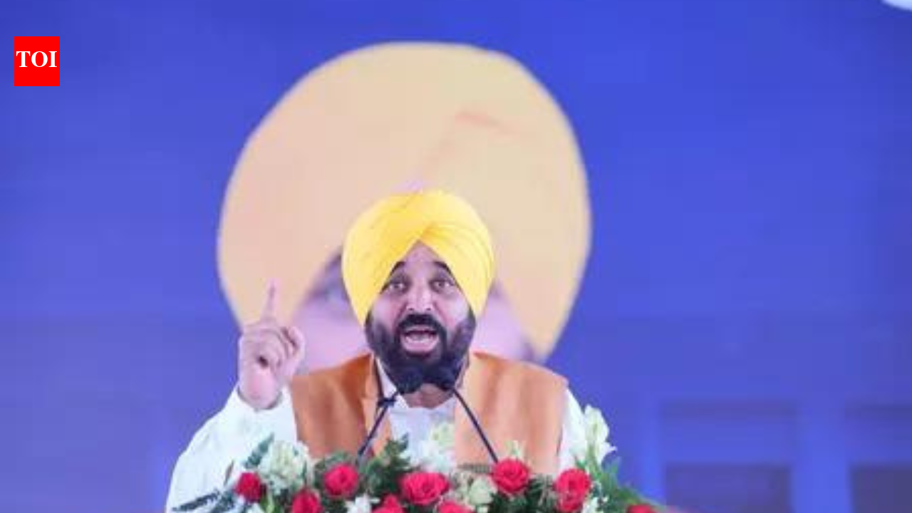 Punjab Police steps up vigil: Mann government deploys anti-drone ...