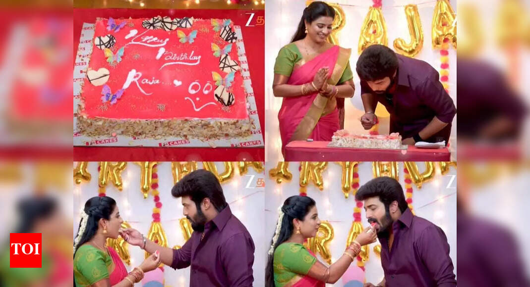 Karthigai Deepam 2: Geetha surprises Karthik on his birthday | - Times ...