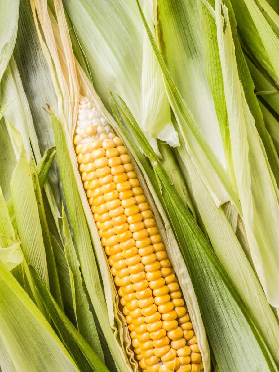 10 delicious ways to enjoy corn during monsoon | Times of India