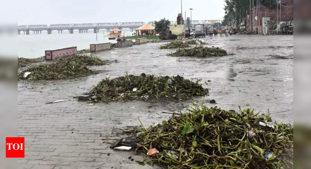 Trail of filth, stench as twin rivers recede | Prayagraj News - Times ...