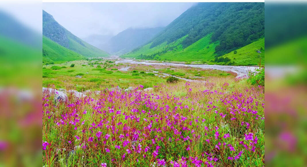 | Times of India Travel