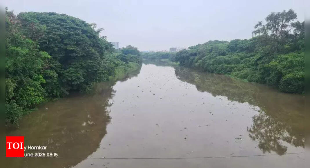 Activists oppose PCMC’s plan to cut trees for riverfront development ...