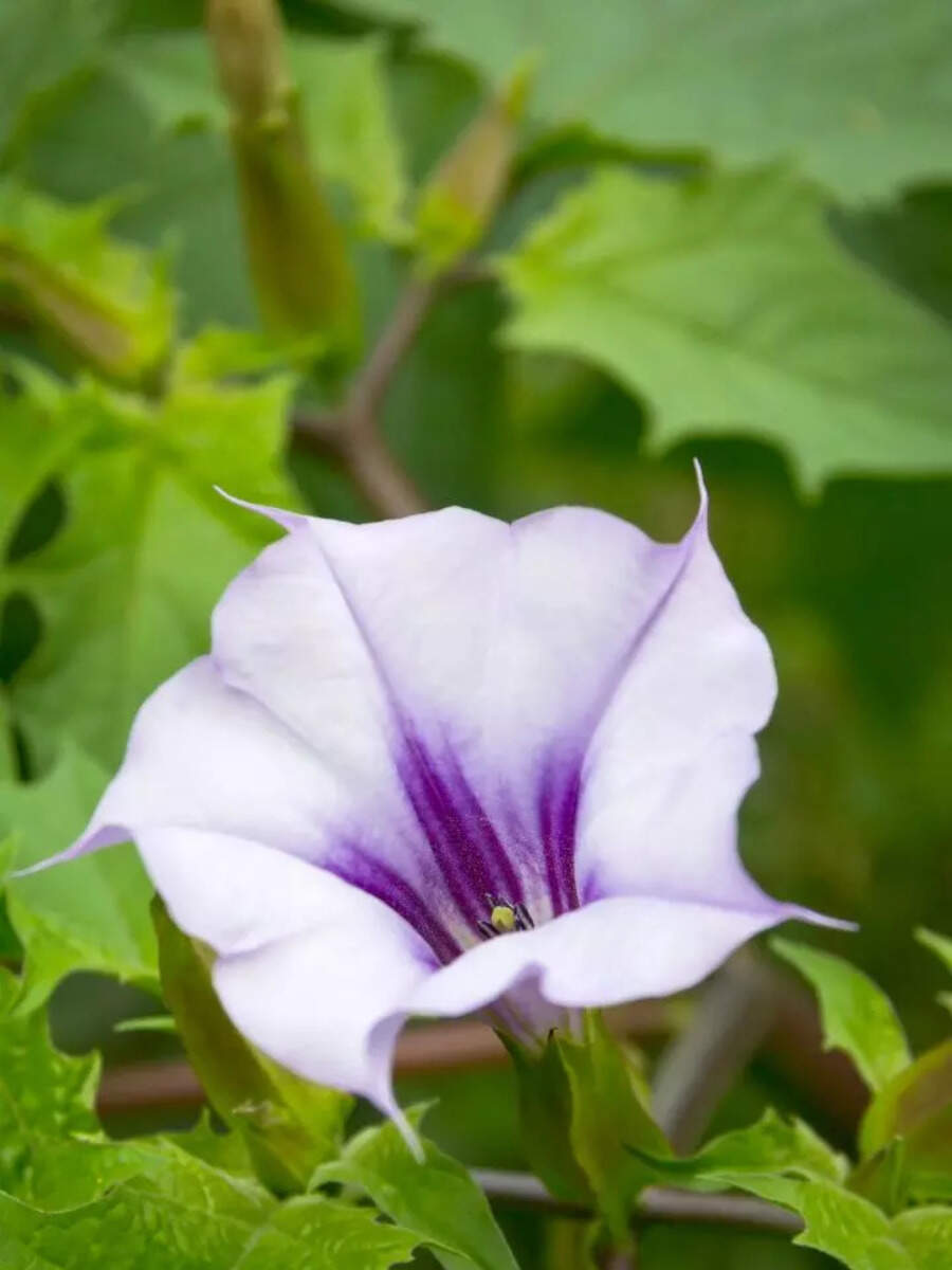 Sava schultz nude sex videos hair, face glam, lingerie, the