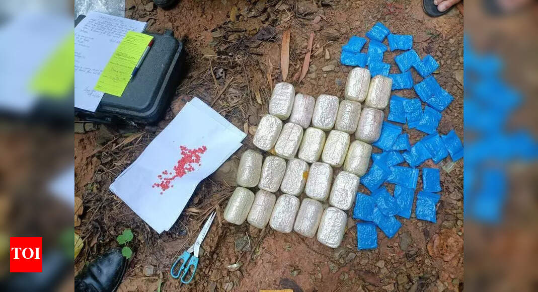 5.5kg meth tabs seized in Mizoram’s Champhai | Guwahati News - Times of ...
