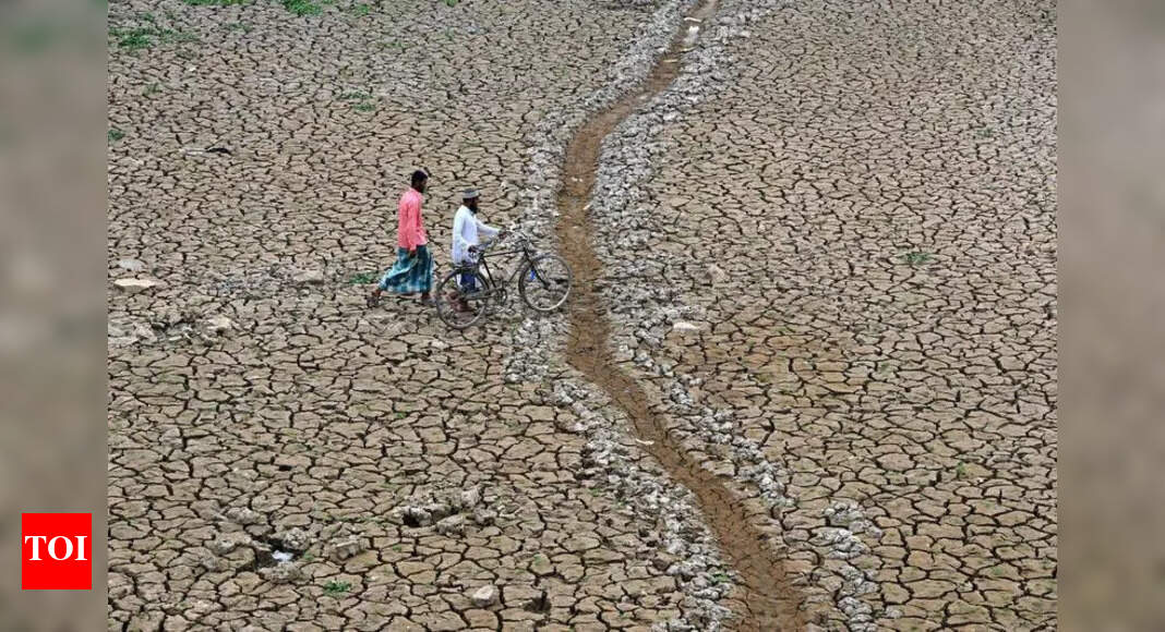 Rainfall deficit expands from 3 to 4 NE states in last one week ...