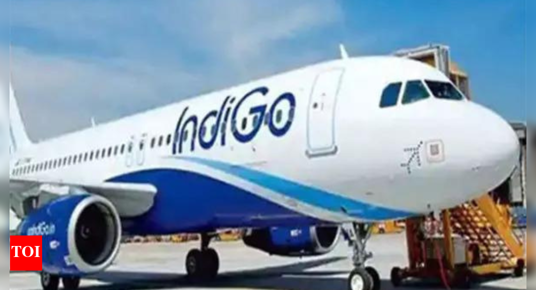 IndiGo expansion: Airline to grow international network, eyes 40% ...