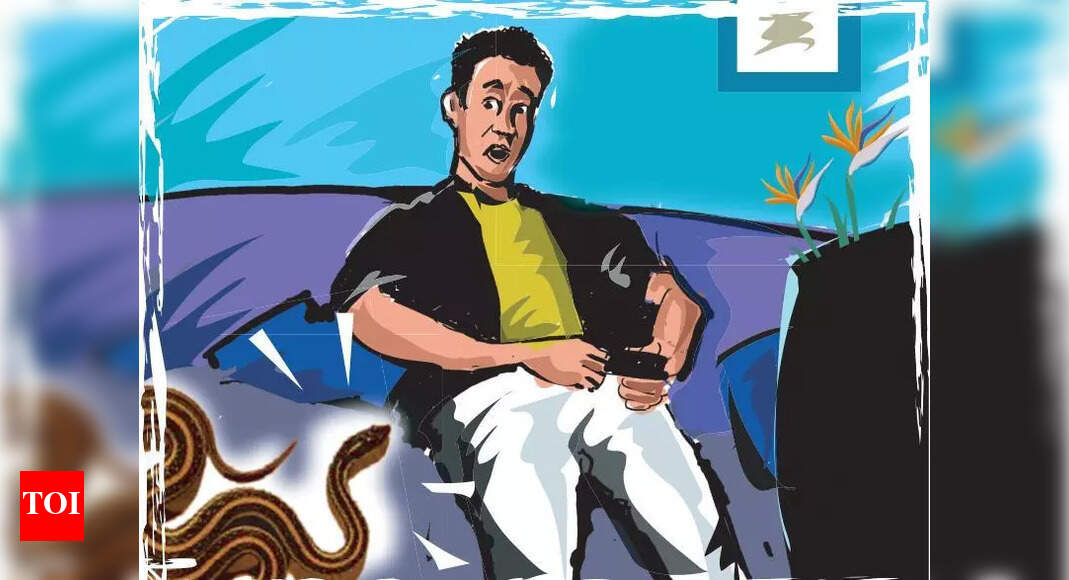 5 yrs of Sarpa App, snakebites dip in dist | Thiruvananthapuram News ...