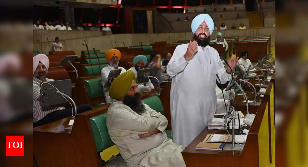 Bokep updet terbaru the lady is incredibly beautiful