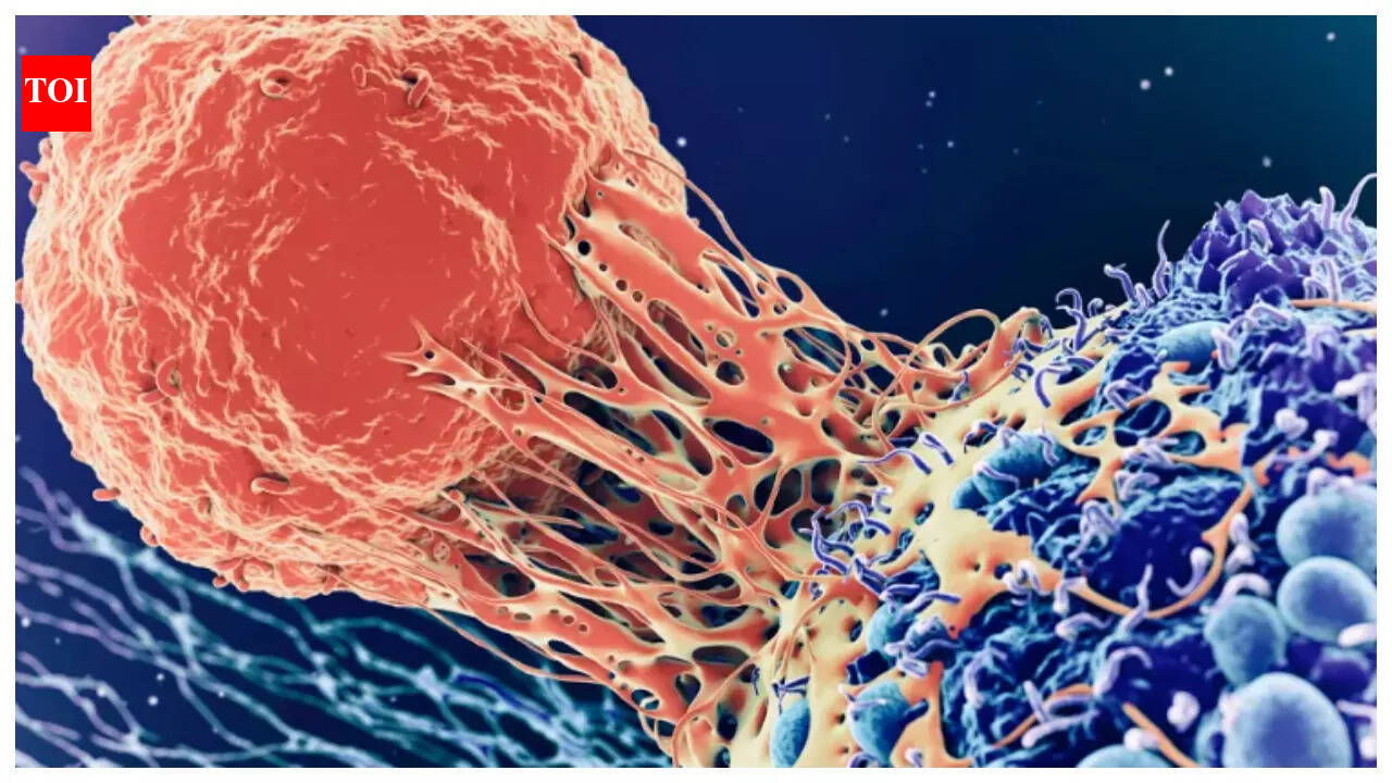Cancer Symptoms: 7 early warning signs of different Cancers in women ...