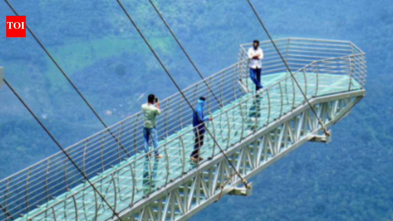 From Glass Bridge to Valmiki National Park: 8 unique places to visit in ...