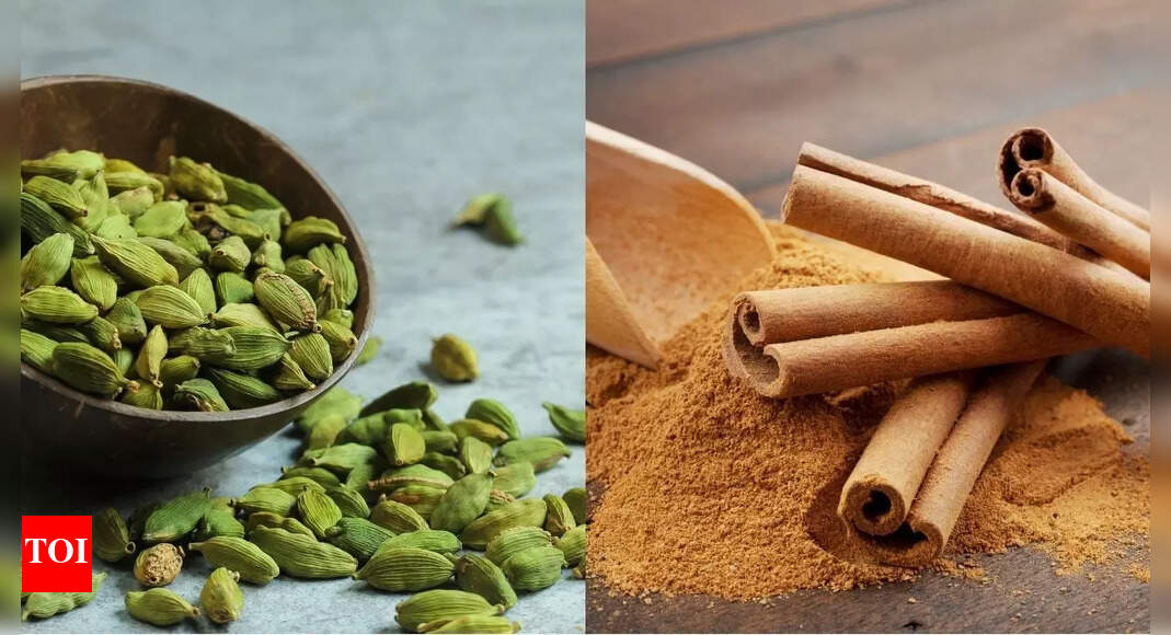 Cinnamon vs cardamom: Which spice is healthier and better for your diet ...
