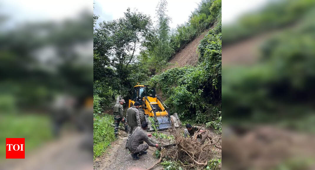 Assam Rifles, locals join hands to reopen major road in Tirap ...