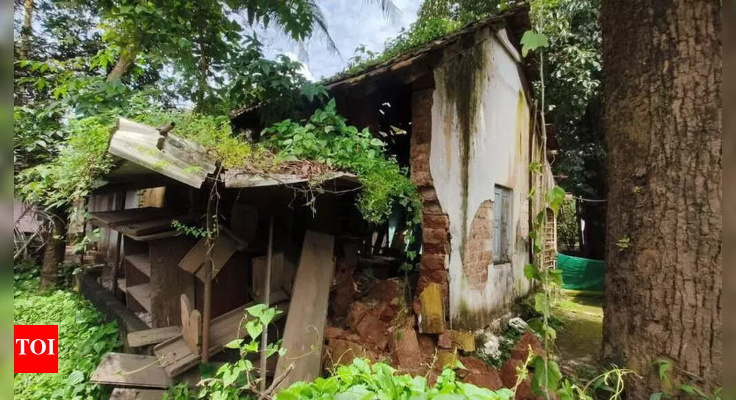 Safety audit begins at govt schools in Ekm amid infrastructure concerns ...