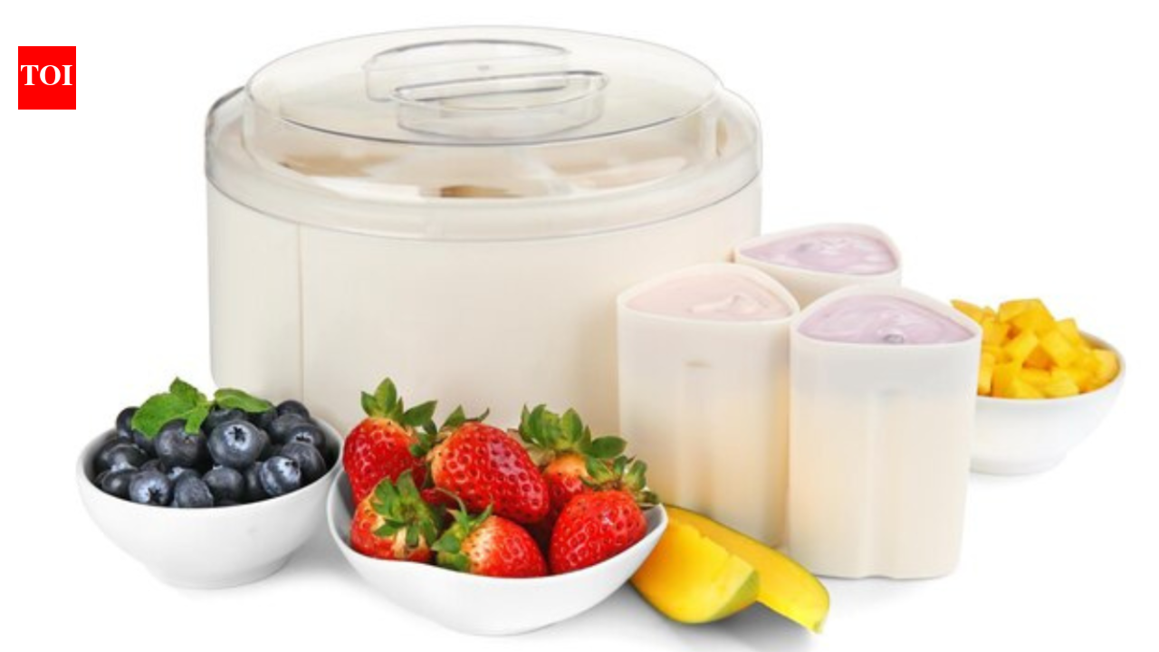 Make Curd Like a Pro: Why Electric Yoghurt Makers Are a Game-Changer ...