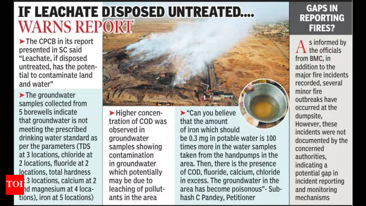 Land Pollution Facts Important Facts On Land Pollution