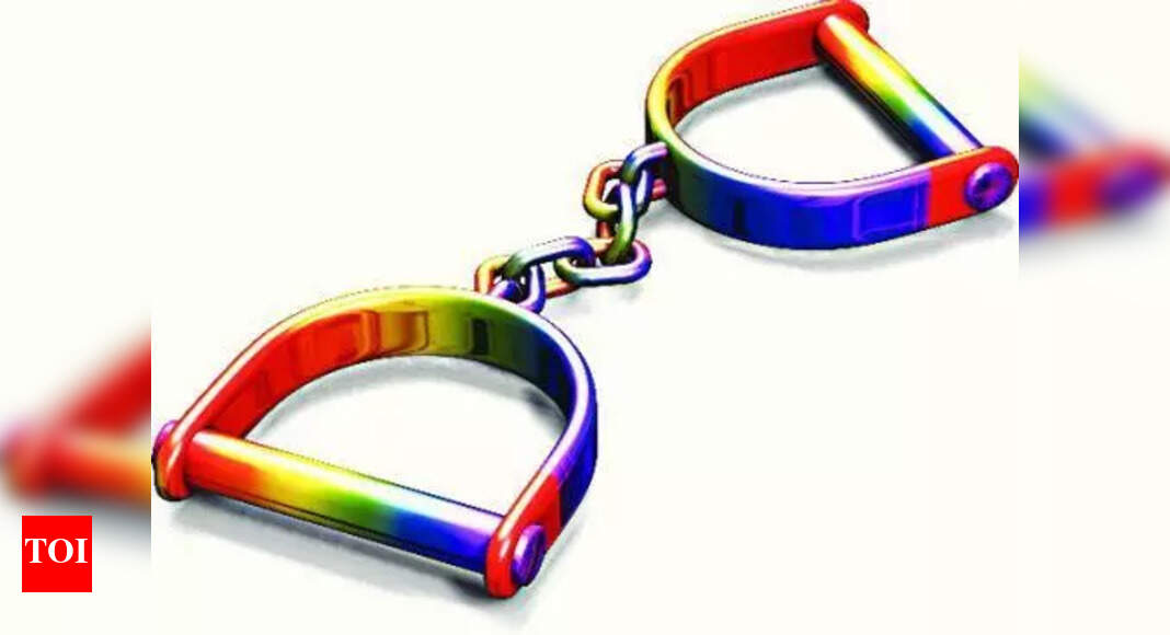 Police nab criminal, detain minors for robbing guard | Pune News ...
