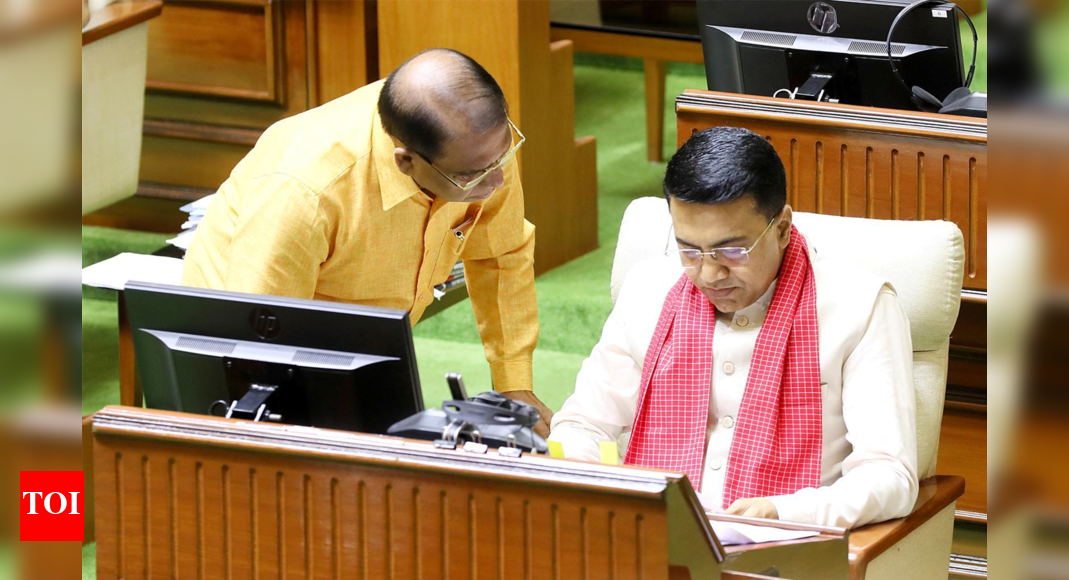 North Goa water woes to end by March: WRD Minister | Goa News - Times ...