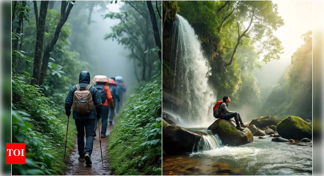Mastering Monsoon Trekking: Essential Tips for Adventurers | - Times of India
