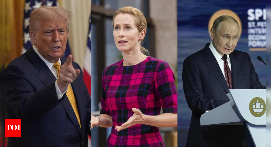 'No US-Russia deal without Ukraine': Top EU diplomat ahead of Trump ...