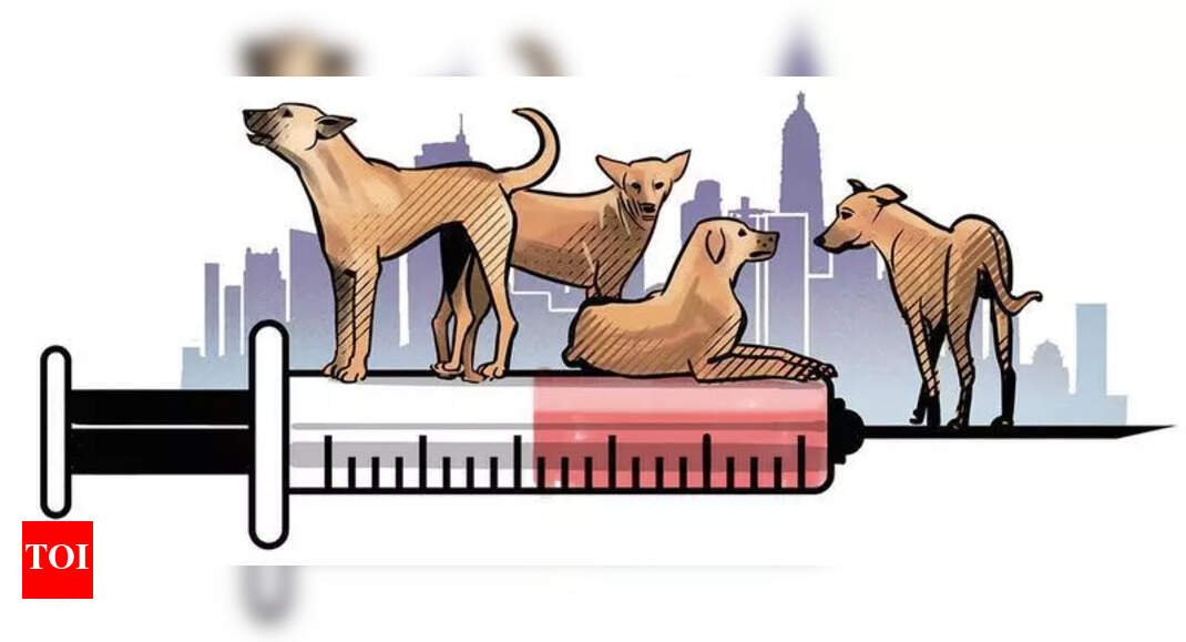 PMC launches campaign to control stray dog population amid rising bite ...