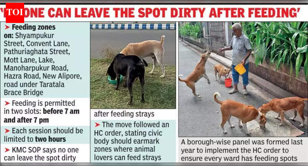 KMC marks 487 stray-feeding zones with pre-7am, post-7pm time slots ...