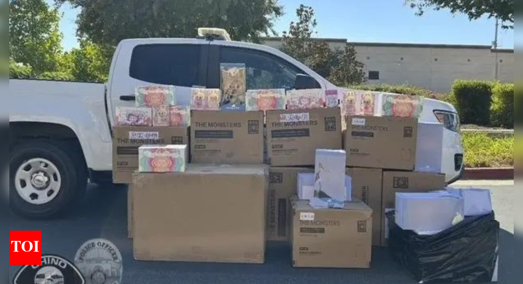$30k theft: 14 boxes of stolen Labubu dolls recovered in California ...