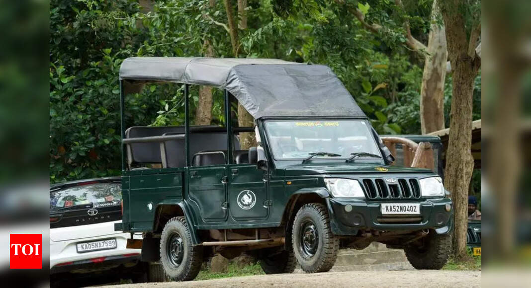Forest dept to introduce safari in Kappatagudda forest from tomorow ...