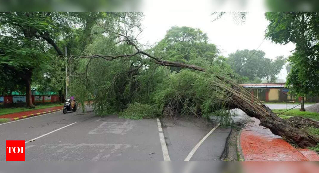 Highest single-day Aug rain in 8 yrs ups city score | Lucknow News ...