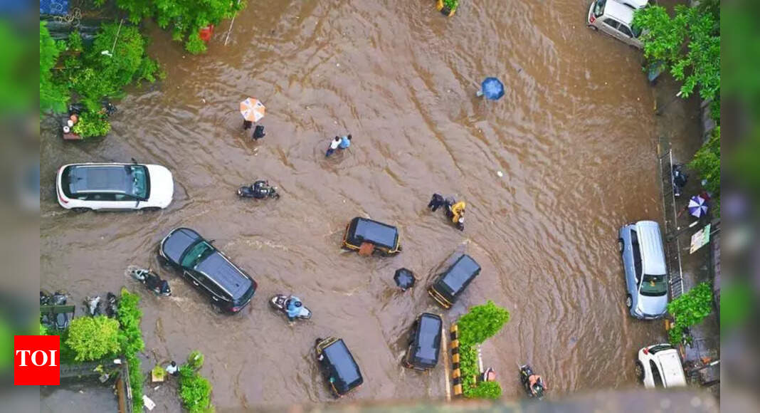 Heavy rainfall causes 7 deaths, crop loss in Maharashtra as alerts ...