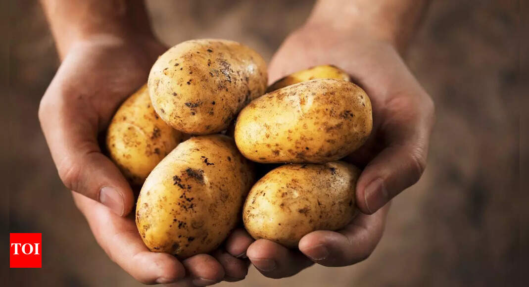 How to spot fake potatoes: 5 simple ways to bring home safe spuds ...