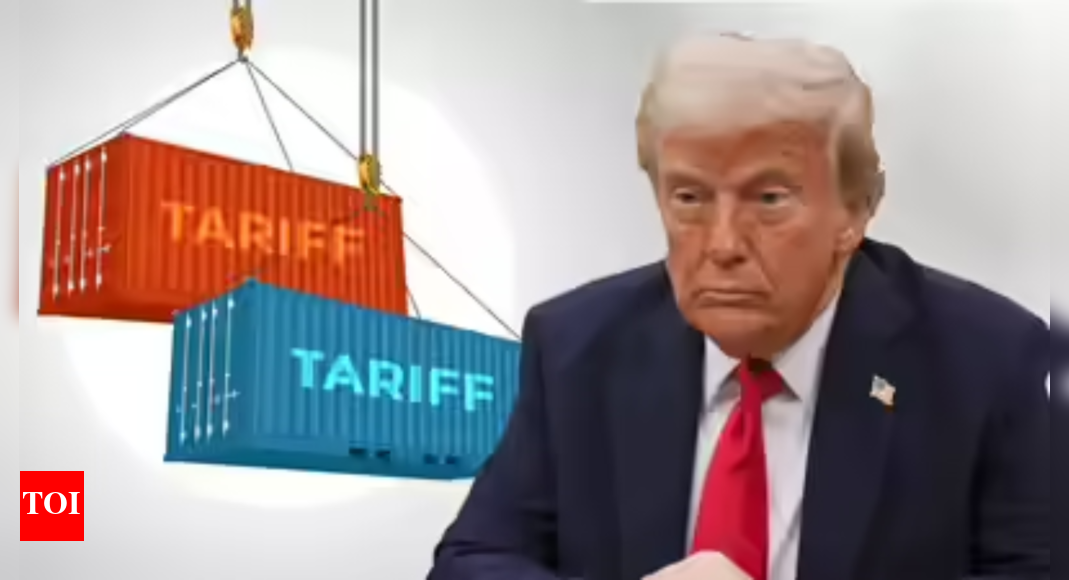 Trump tariffs prompted MPC to wait and watch - Times of India