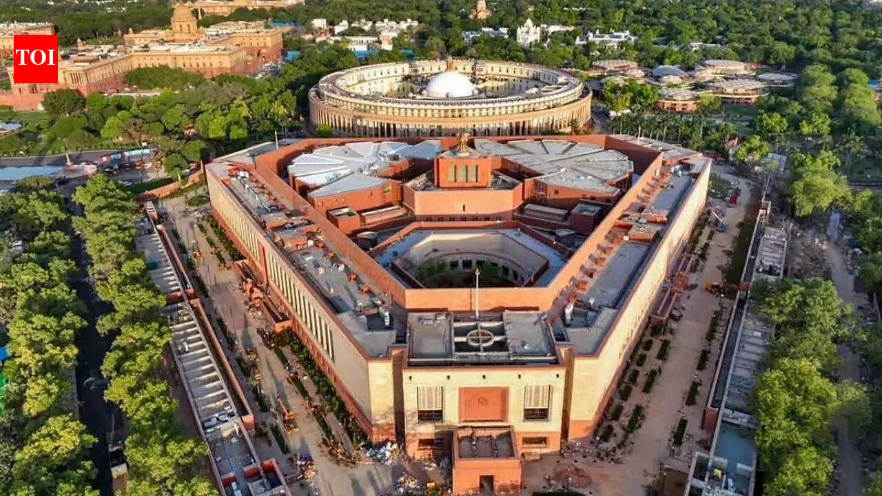 Parliament security breach: Man jumps wall, enters premises; what we ...
