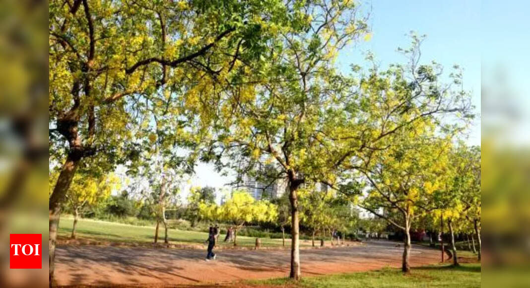 BJP district secretary writes to Cidco about visitor’s issues against ...