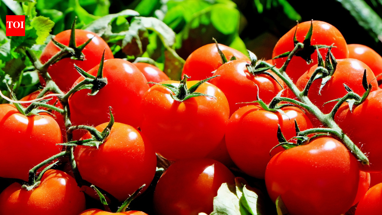 Raw Tomato Benefits: 10 health benefits of eating raw tomato