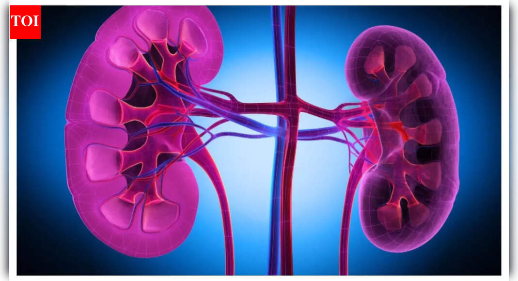 Kidney Failure Symptoms: 7 symptoms that should be addressed ...