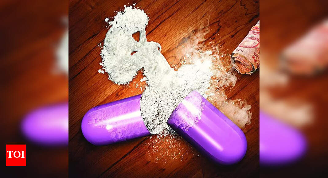 Kerala HC grants bail to accused in fake drug case aimed at implicating ...