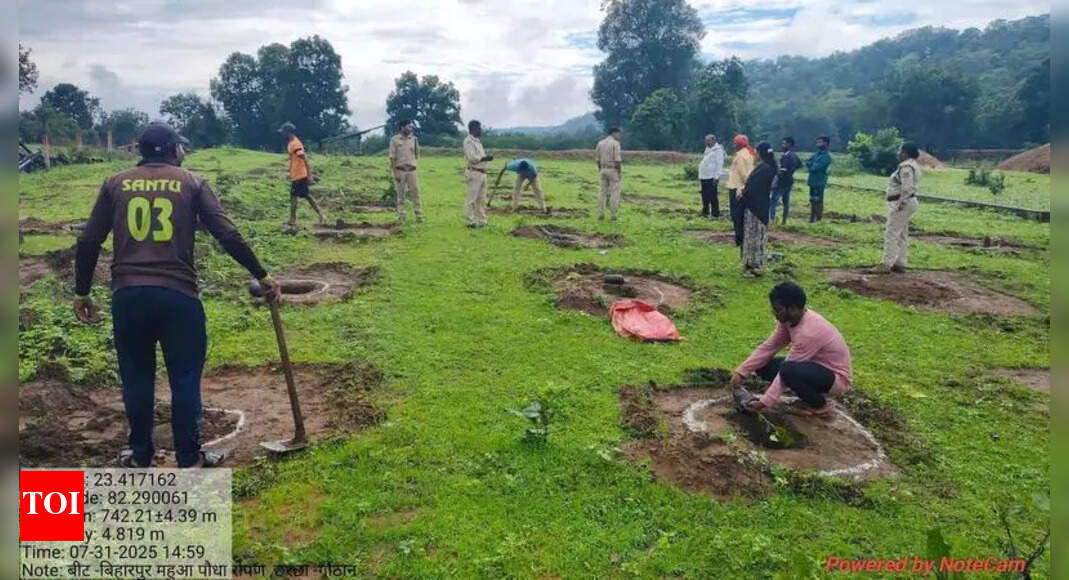 Manendragarh now plants idea of reviving ‘barren gothans’ to boost its ...