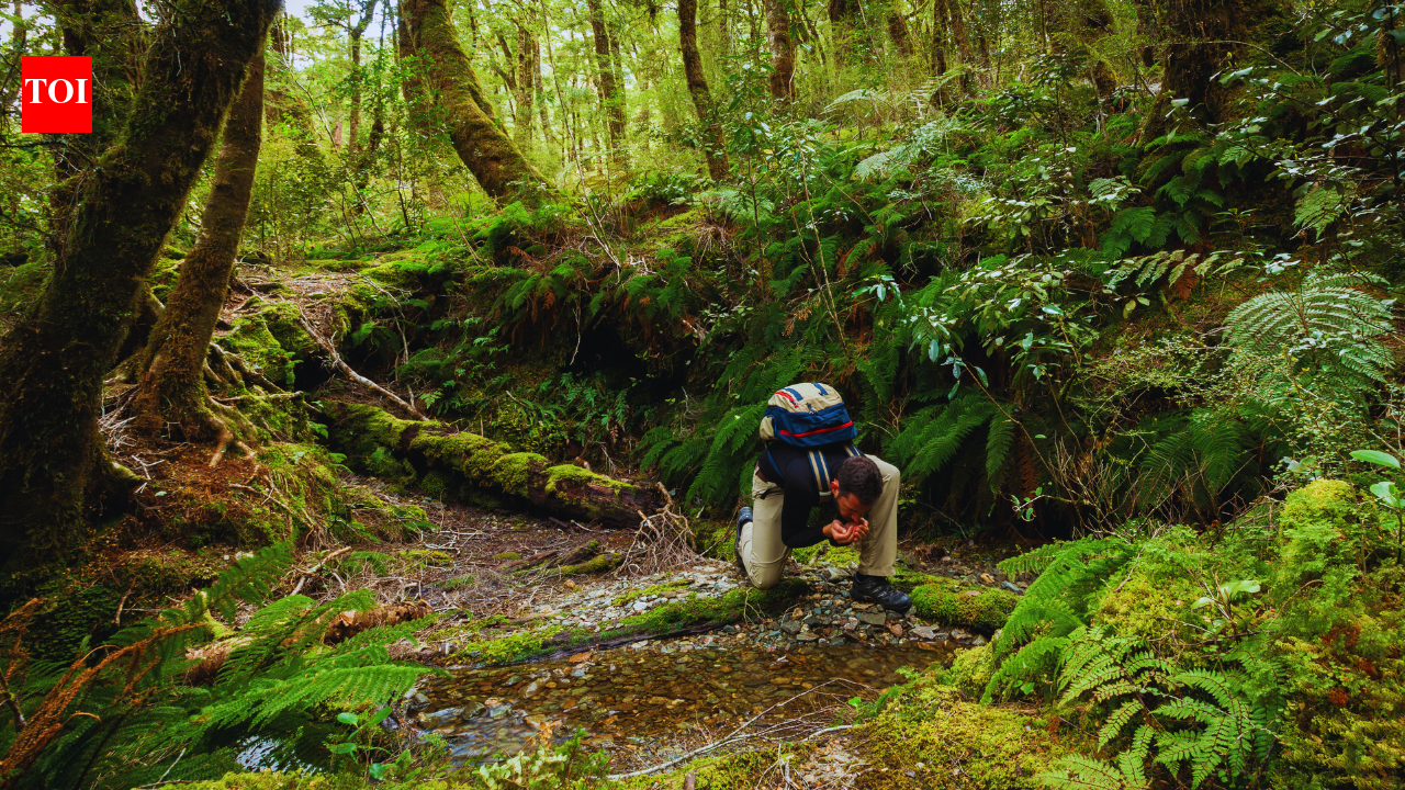 10 cleanest countries in the world that are leading by example