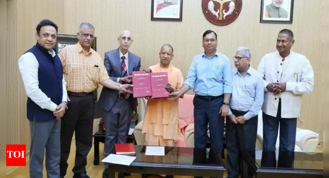 'Hindu population falls to 15%, Muslims rise to 85% in Sambhal ...