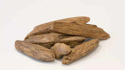 Kynam Wood: This extremely rare wood costs more than a kilo of Gold ...